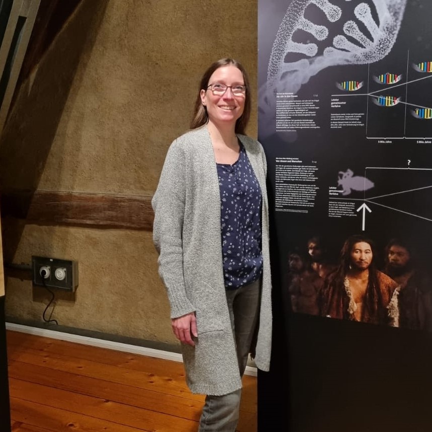 RiesKraterMuseum Nördlingen » Sabine Gutmann