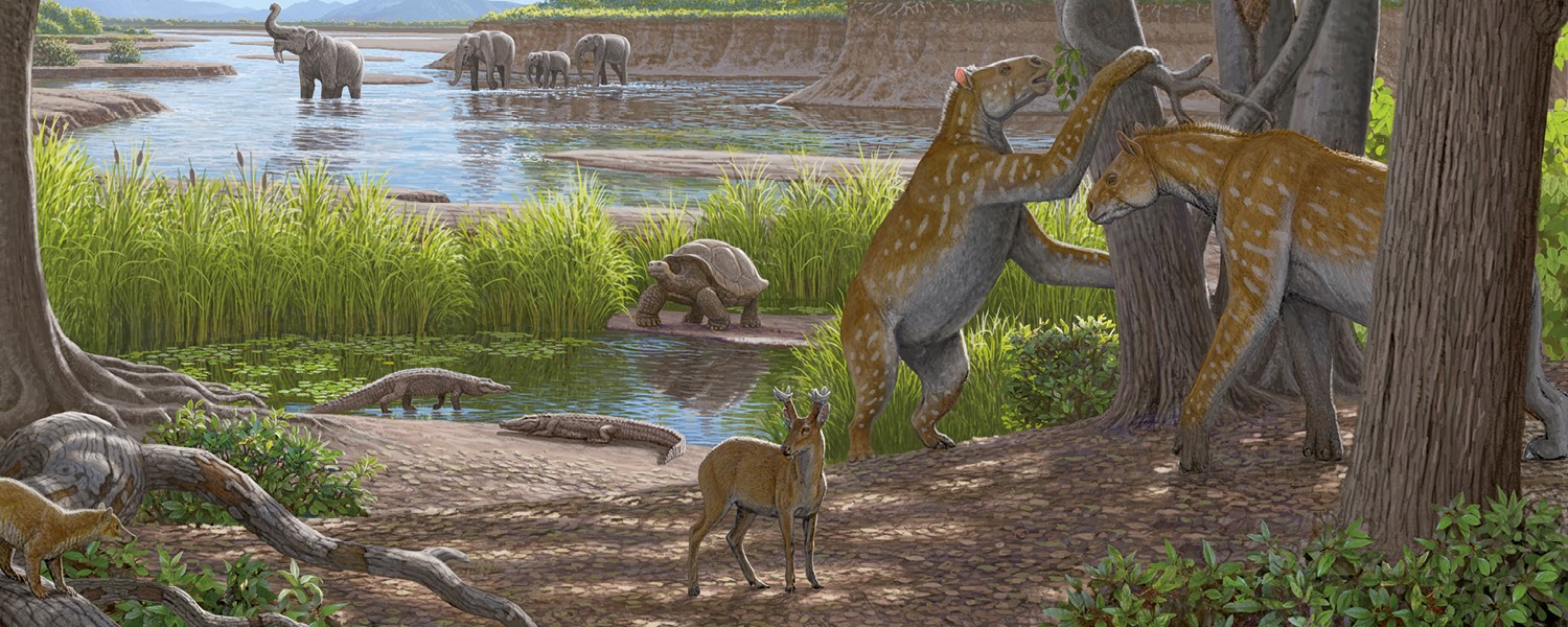 RiesKraterMuseum Nördlingen » Molassic Park