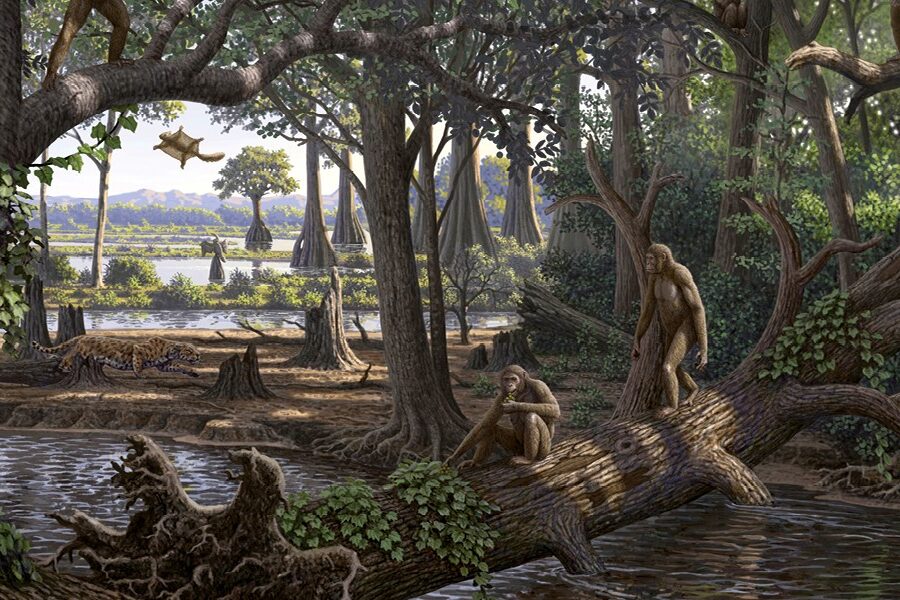 RiesKraterMuseum Nördlingen » Molassic Park Sonderausstellung ab ...