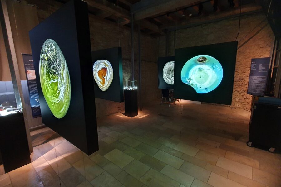 Start I RiesKraterMuseum Nördlingen